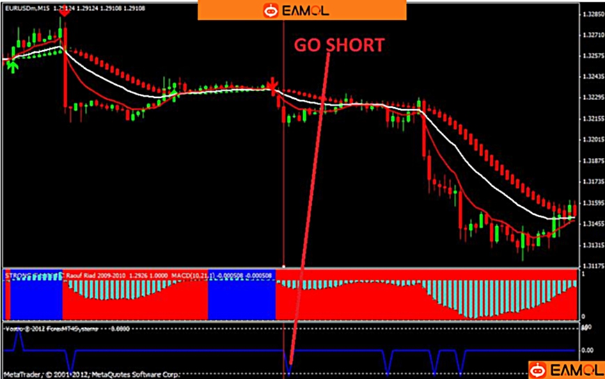 Forex VSD（中文说明）-EAMQL官网