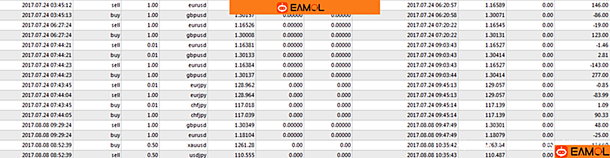 双币对冲交易半自动EA-EAMQL官网