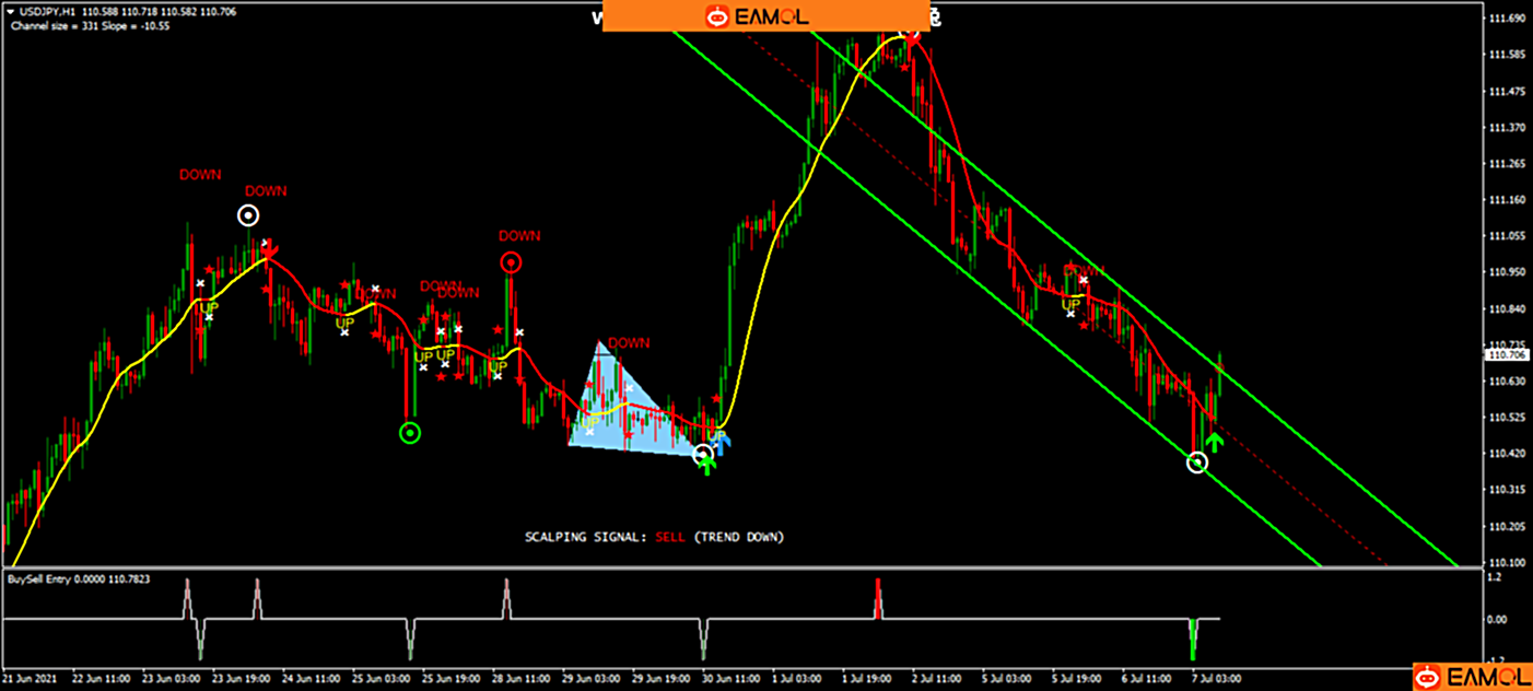 Ryan Gates System 外汇交易系统-EAMQL官网