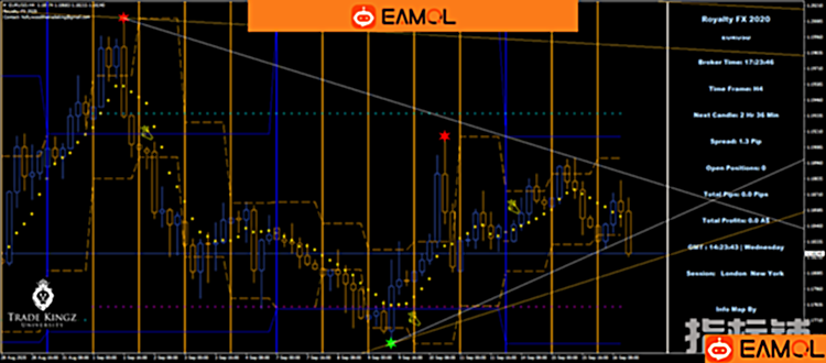 2020Royalty FX 盈利的外汇交易系统下载-EAMQL官网